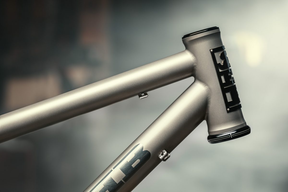 Review: REEB Ti Donkadonk Fat B – Spoke Twist